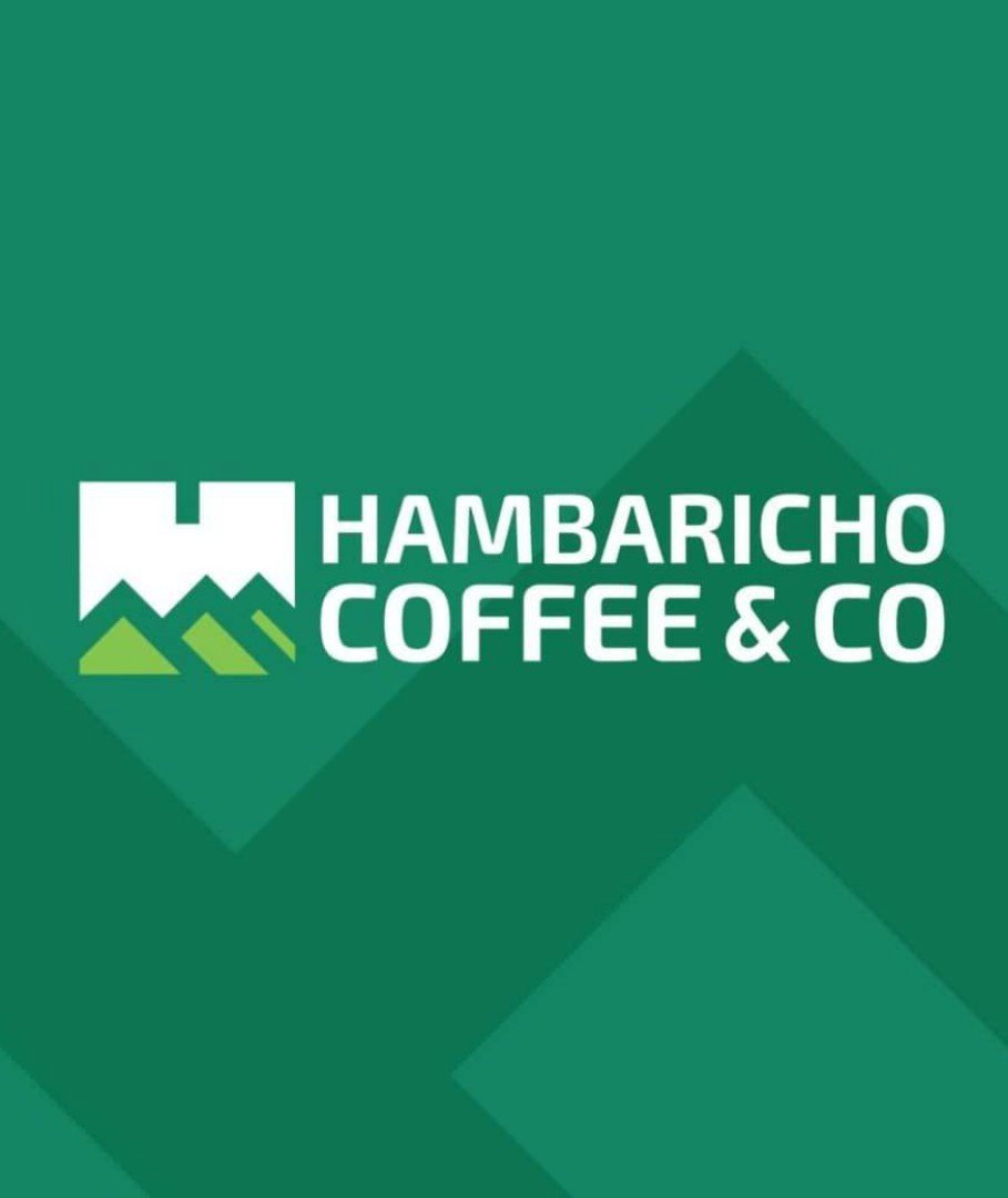 Premium Ethiopian Green Coffee Exporter | Hambaricho Coffee